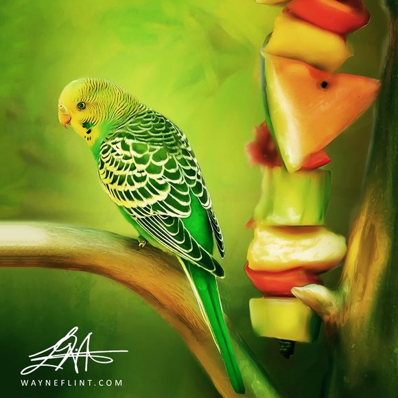 Black Digital Art | Art | Fruit Parrot Oil Painting | Poshmark